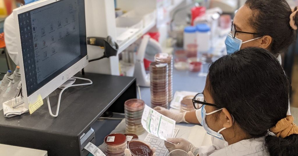 Modern lab software improves healthcare in Timor-Leste | CGM